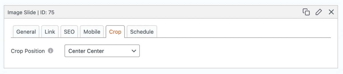 Image Crop Options - MetaSlider