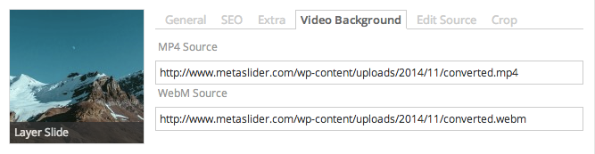Layer Slides - MetaSlider