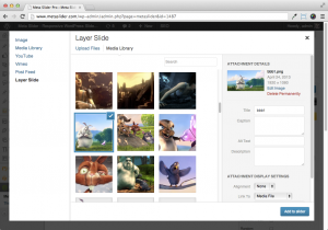 Layer Slides - MetaSlider