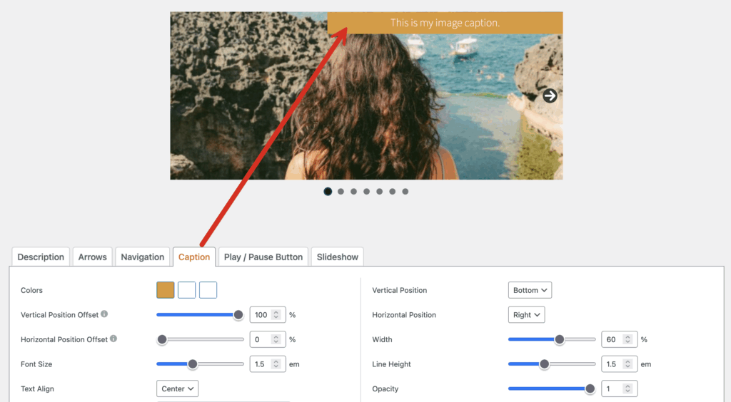 Use the Theme Editor to Change Captions (Pro) - MetaSlider