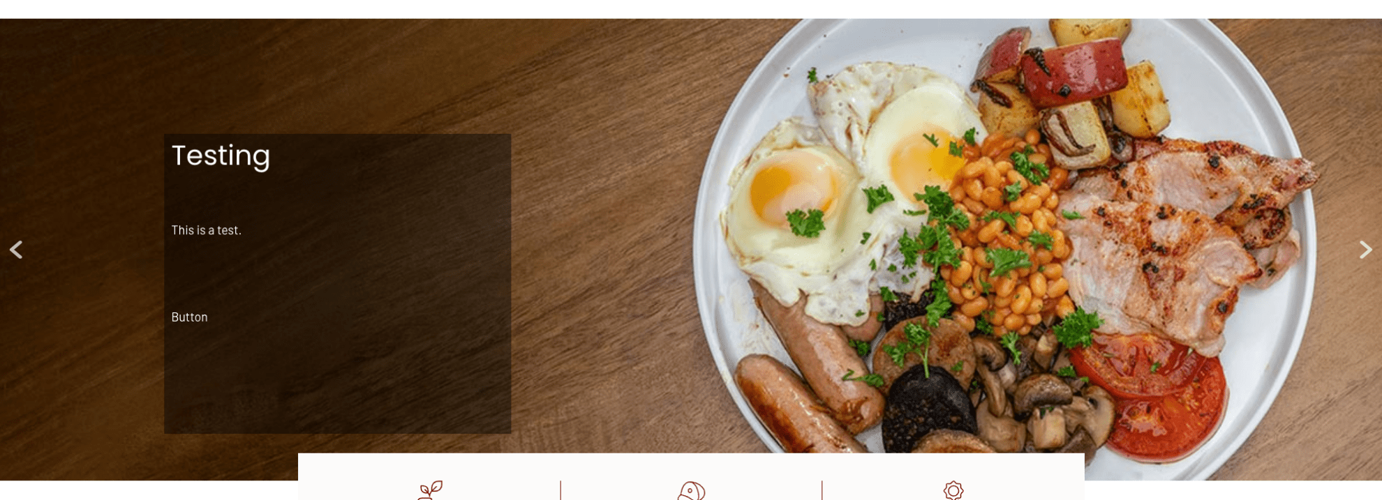 Extra Break Tags Appearing in Slideshows - MetaSlider