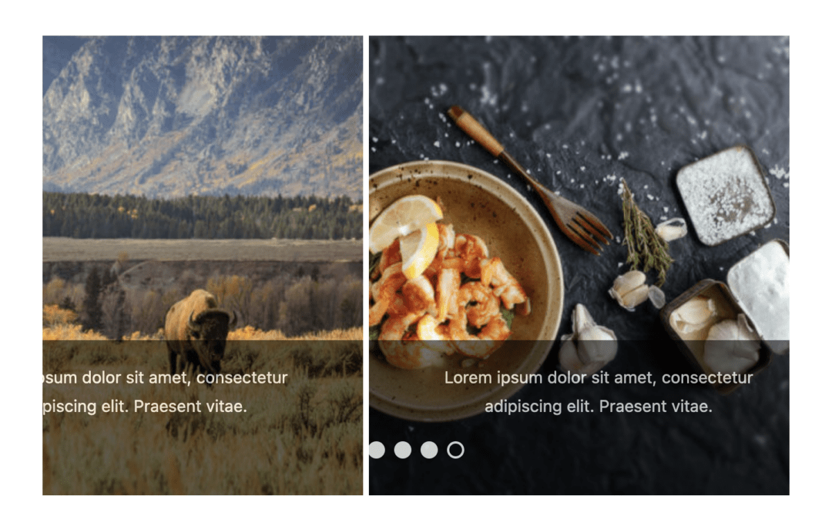 Getting Started With MetaSlider Free - MetaSlider