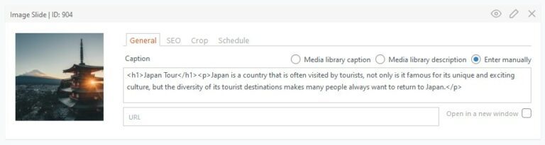 How to Build the Custom Caption Slider Demo - MetaSlider