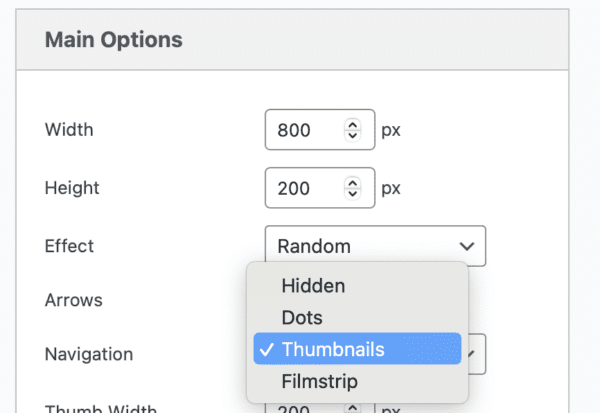 Thumbnail Navigation in MetaSlider Pro - MetaSlider