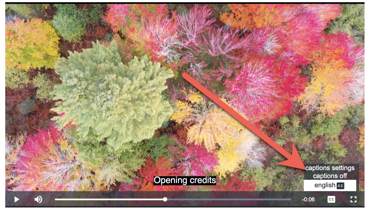 Video Text Track (VTT) Captions for External Videos (Pro) - MetaSlider