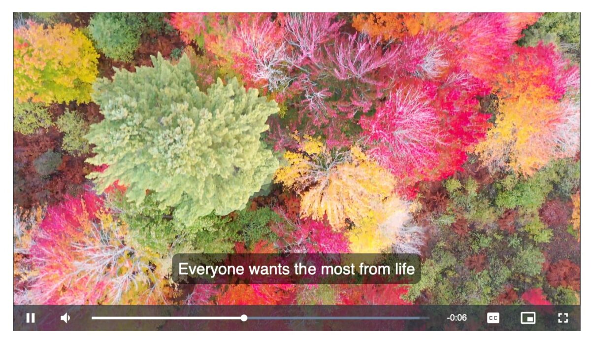 Video Text Track (VTT) Captions for Local Videos (Pro) - MetaSlider