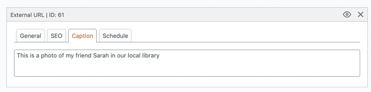 Introduction to Captions in MetaSlider - MetaSlider