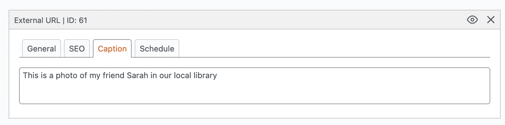 Introduction to External URL Slides - MetaSlider