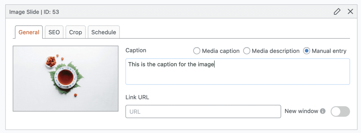 Introduction to Captions in MetaSlider - MetaSlider