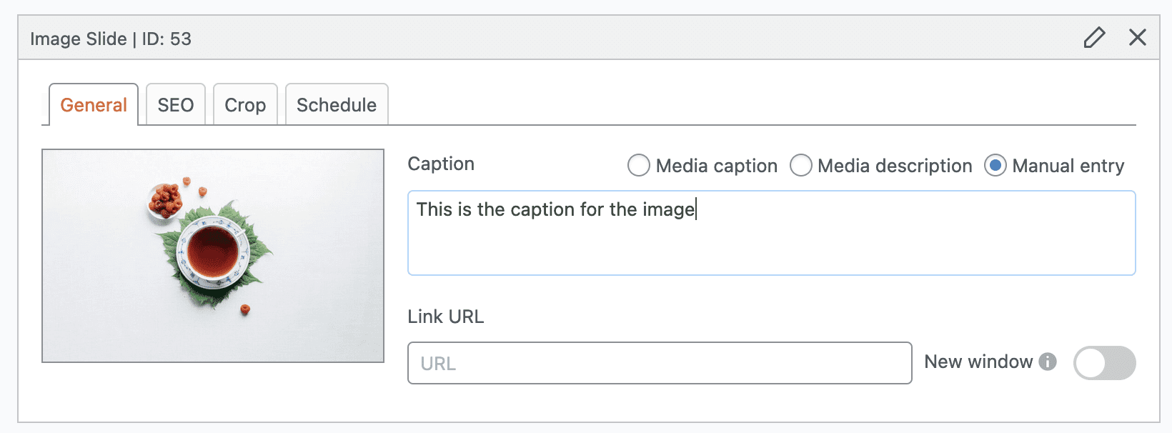 Introduction to Captions in MetaSlider - MetaSlider
