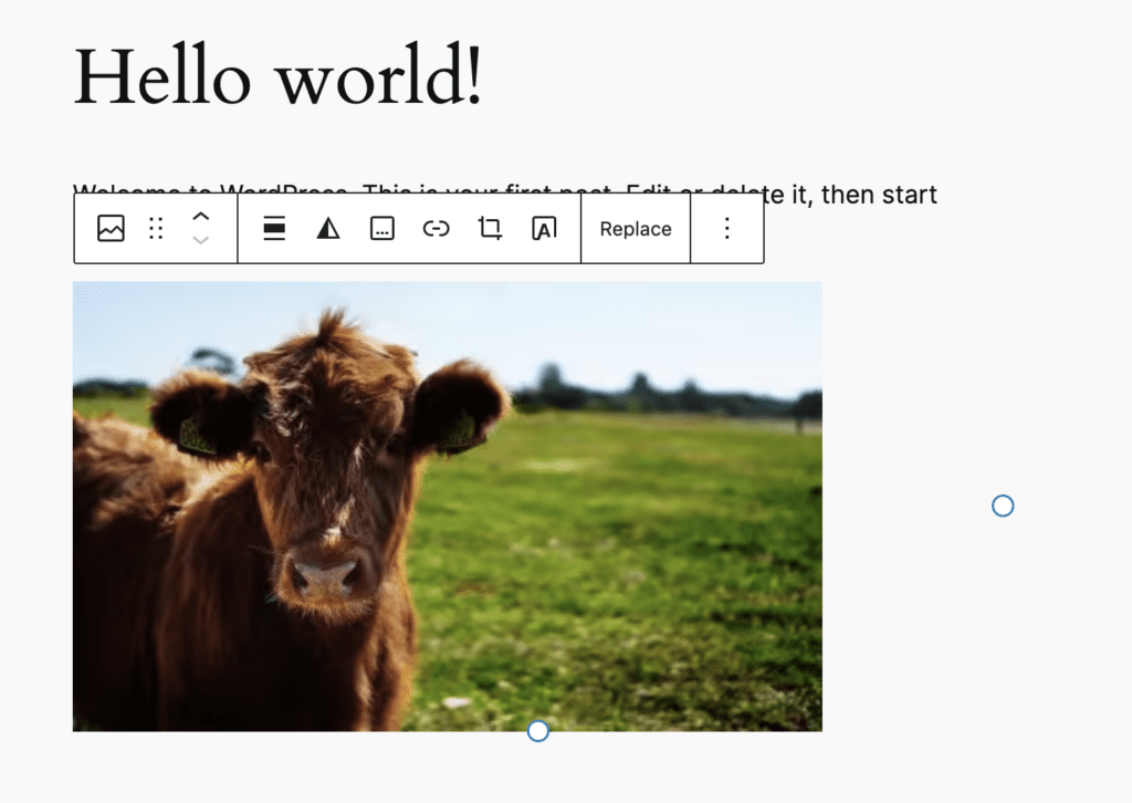 How to Use AVIF Images in WordPress - MetaSlider