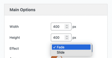 Fade and Slide Effects - MetaSlider