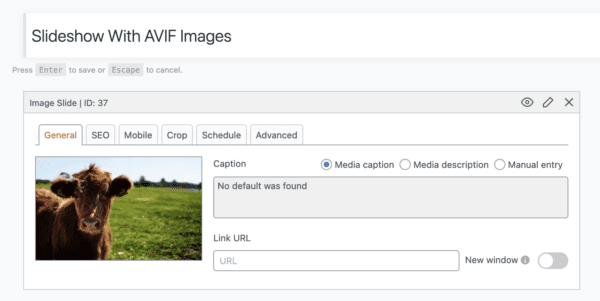 How to Use AVIF Images in WordPress - MetaSlider