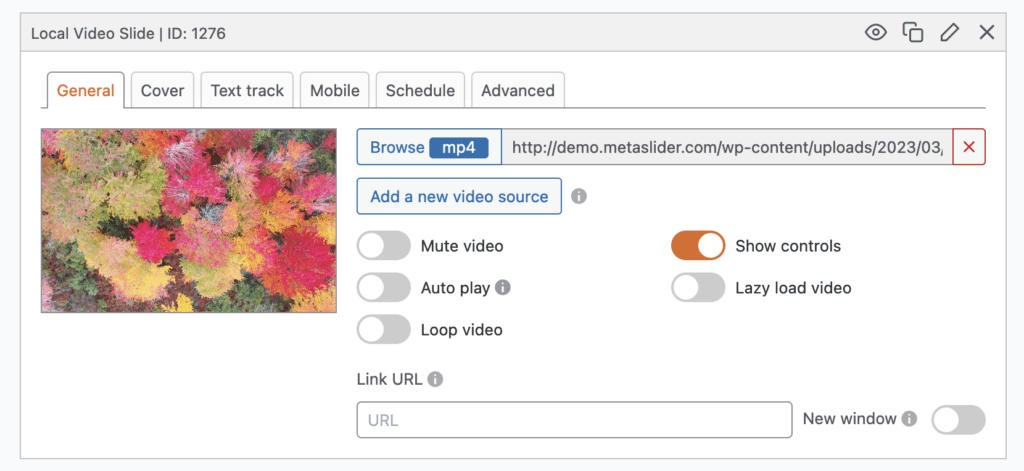 Introduction to Local Video Slides (Pro) - MetaSlider