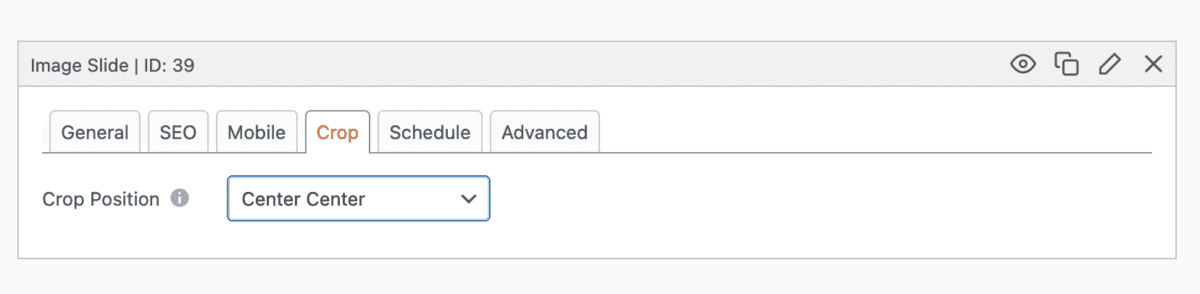 Image Crop Options - MetaSlider