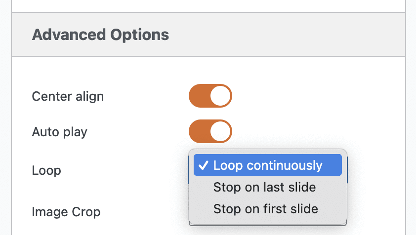 Slide Looping Options in MetaSlider - MetaSlider